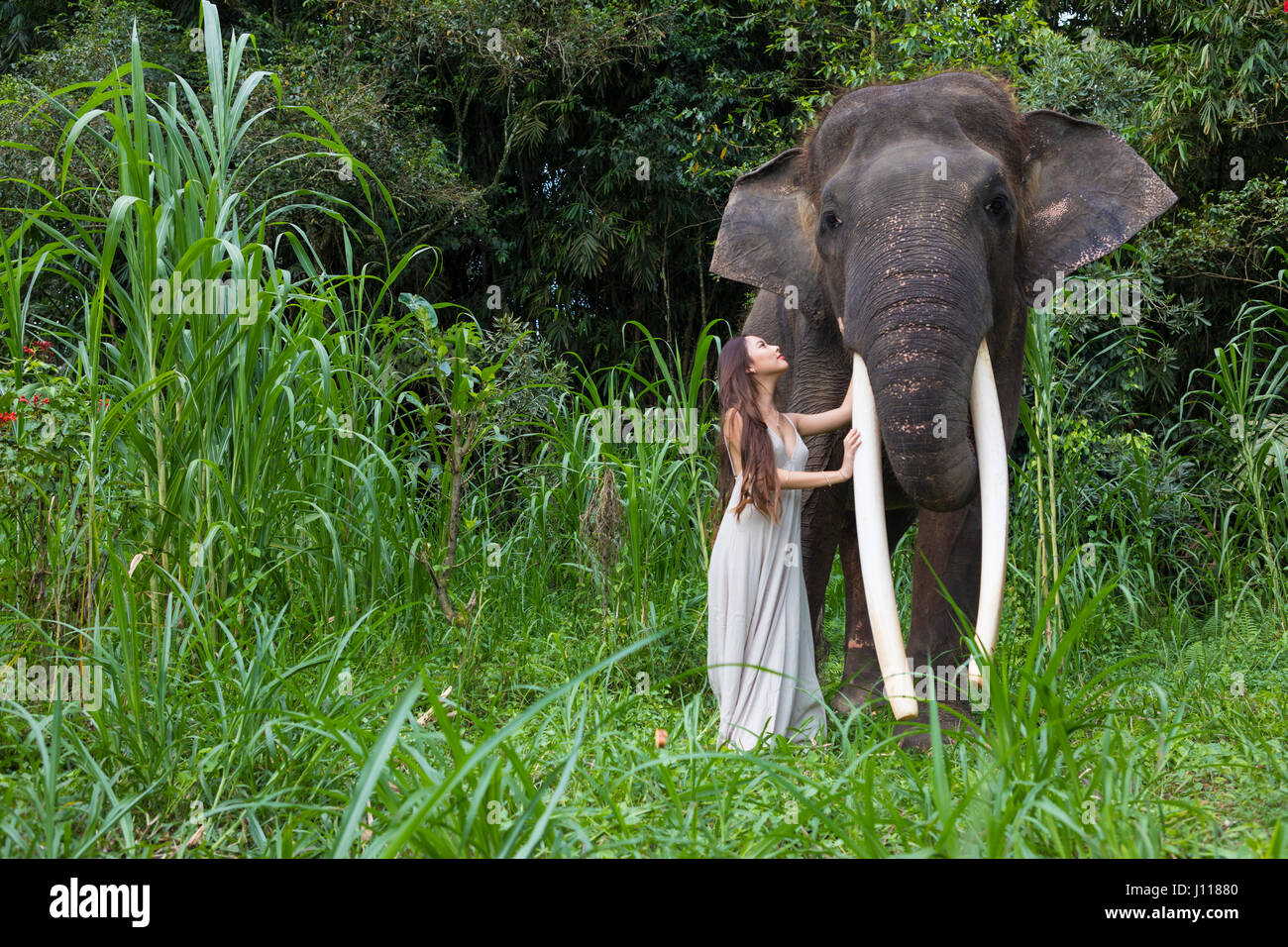 Woman stroking elephant hi-res stock photography and images - Alamy