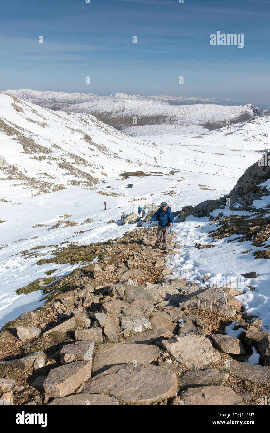 A walker ascending Calf Cove from Esk Hause with the Langdale Pikes ...
