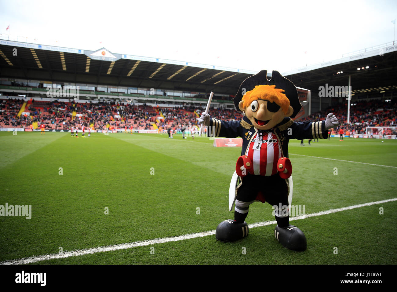 Sheffield united mascot hi-res stock photography and images - Alamy