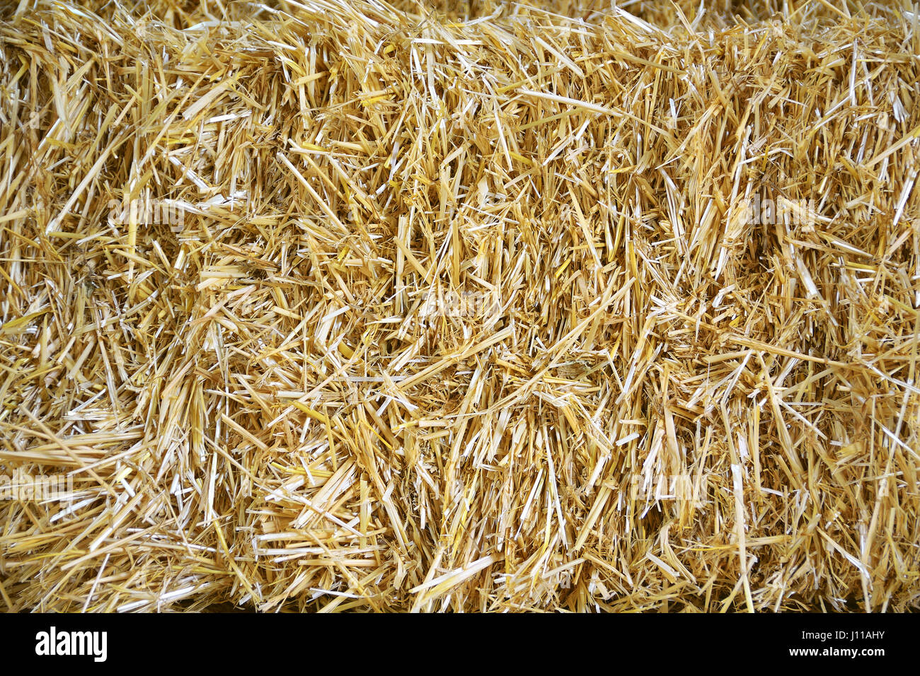 Some straw bales forming a pile in an old barn of a farm. Rural ...