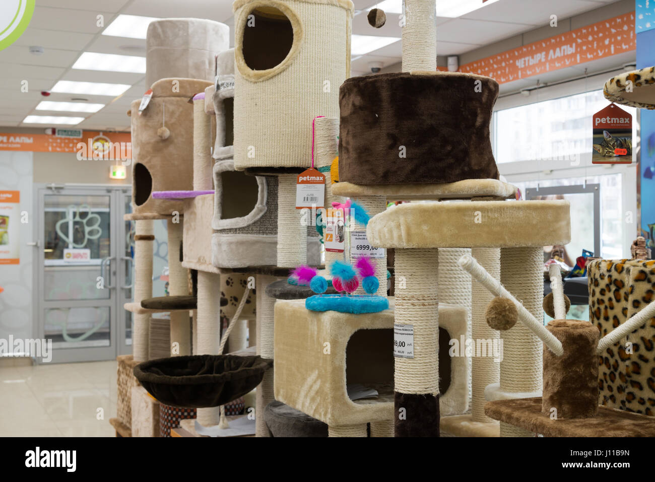 Pet shop interior hi-res stock photography and images - Alamy