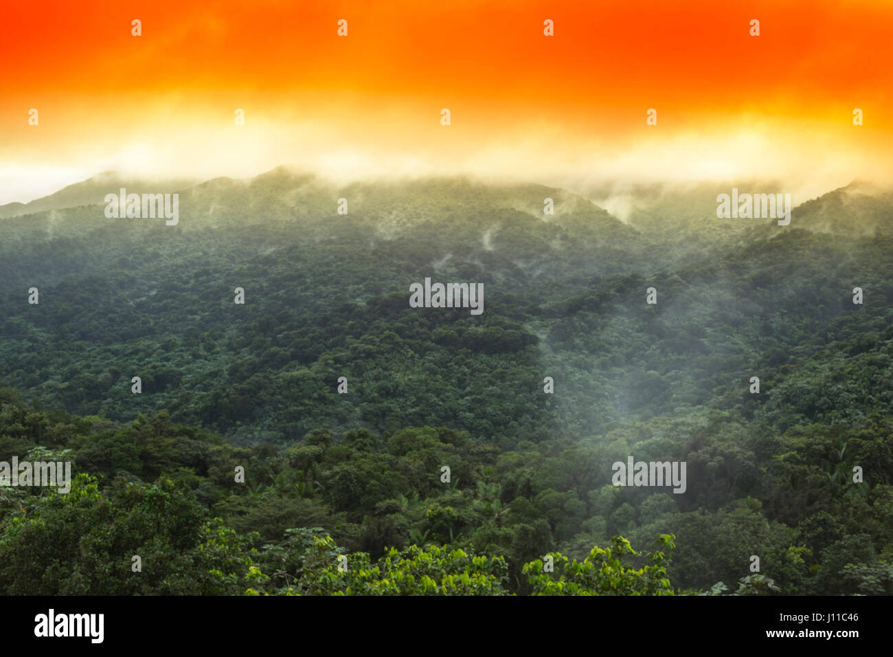 Mist over treetops High Resolution Stock Photography and Images - Alamy