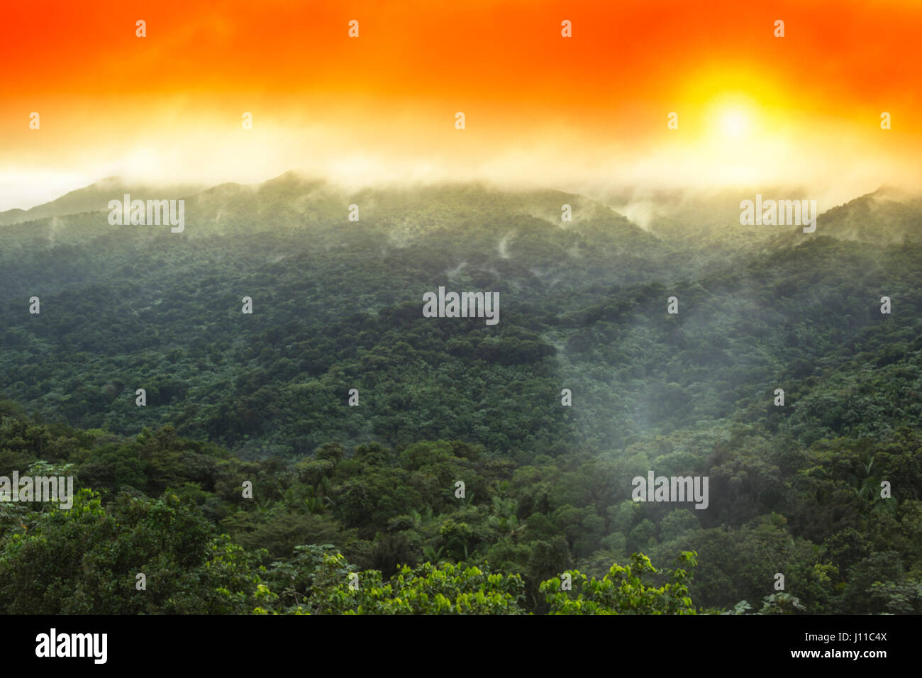 El yunque mountain puerto rico hi-res stock photography and images - Alamy