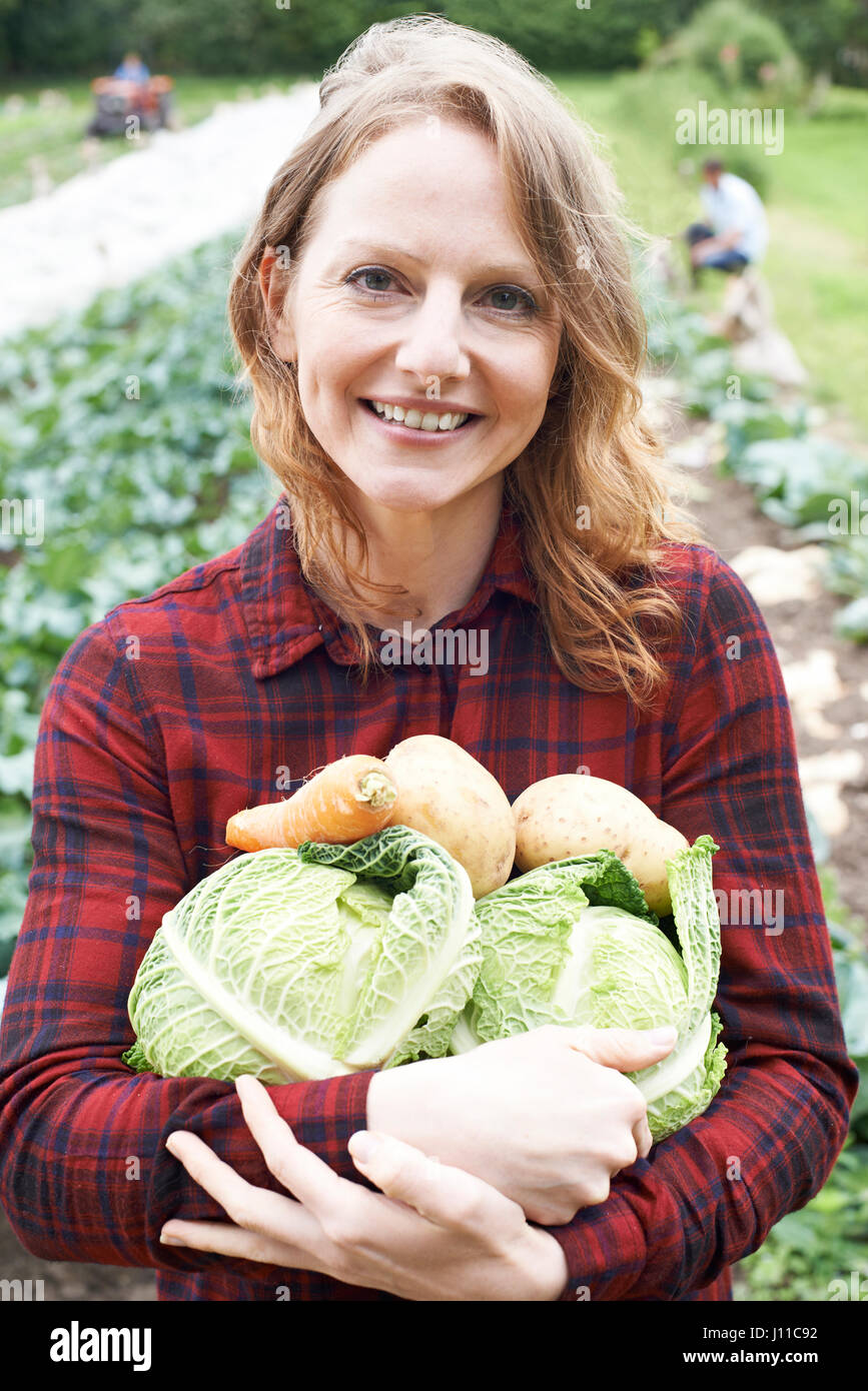 Woman Working On Organic Farm Holding Produce Stock Photo - Alamy