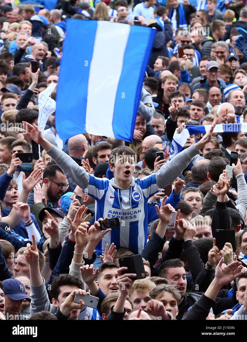 Brighton and Hove Albion fan celebrate promotion on the pitch following ...