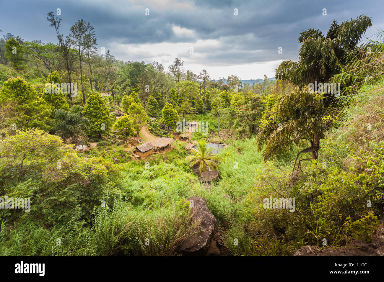 Green paradise in Sri Lanka, country side with trees, plants and ...