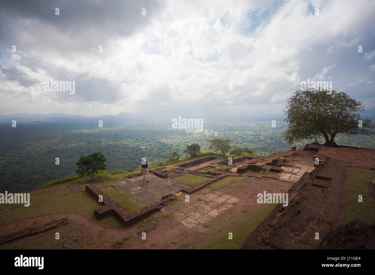 Green paradise in Sri Lanka, country side with trees, plants and ...