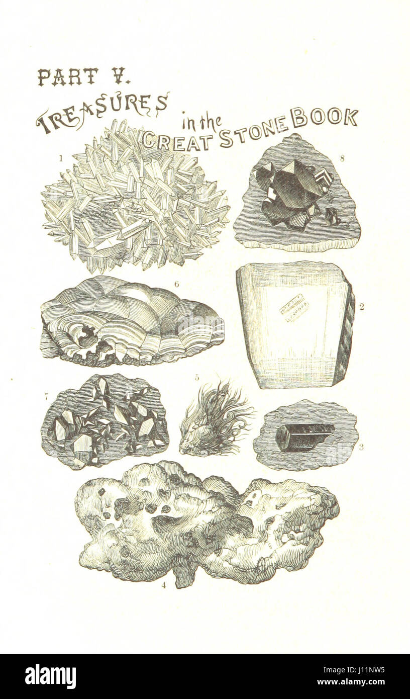 [The Great Stone Book of Nature.] Stock Photo - Alamy