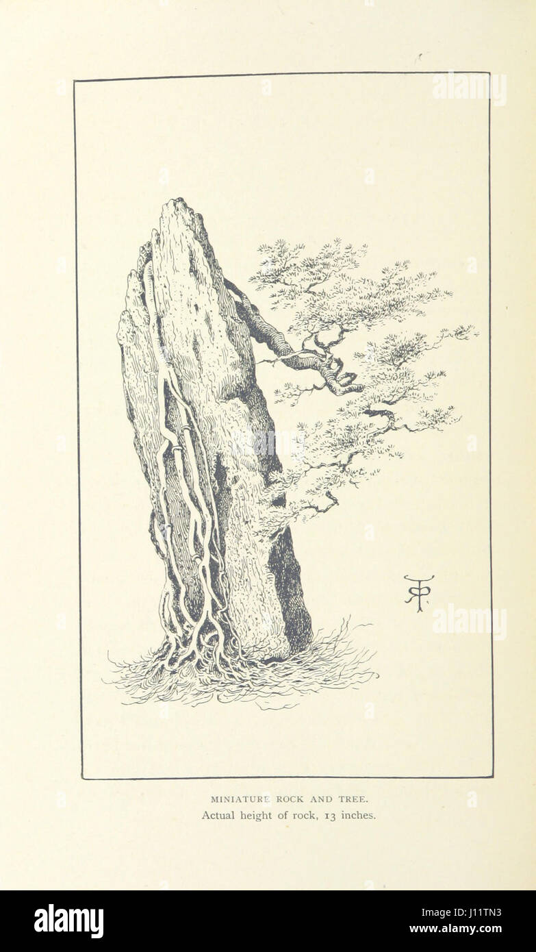 East and West. Being papers reprinted from the “Daily Telegraph” and ...