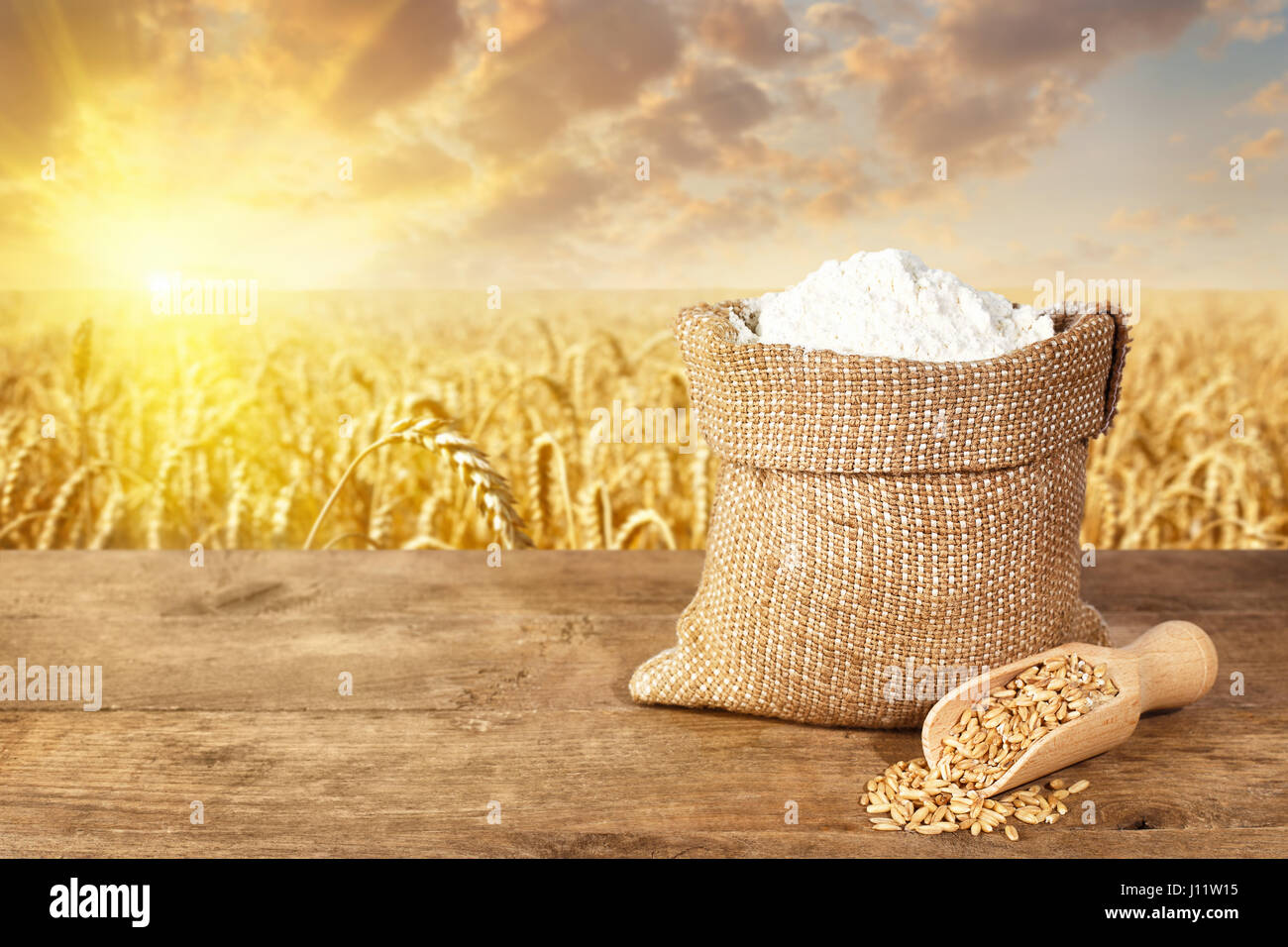 wheat flour in sack on table with ripe cereal field on the background ...