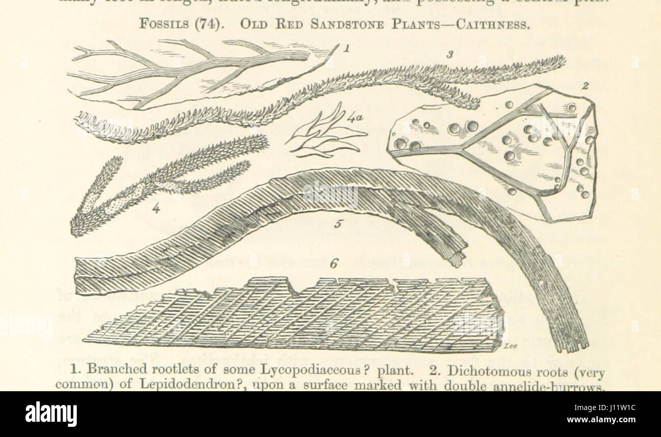 [Siluria. The history of the oldest known rocks containing organic ...