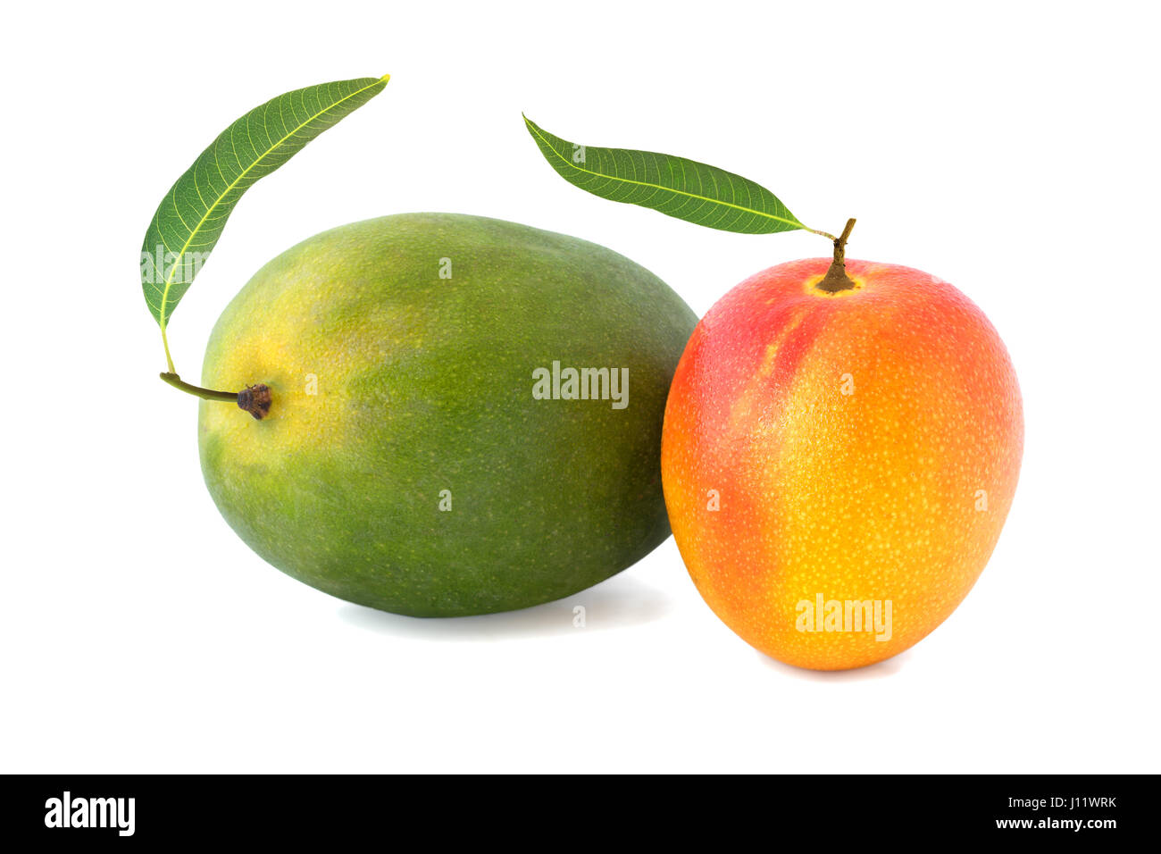 Two mango with a leaf isolated on white background Stock Photo - Alamy