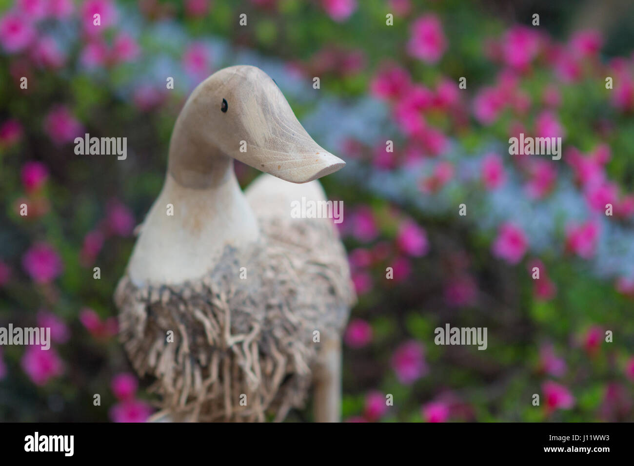 Wooden duck with flowers for the creative use in design Stock Photo - Alamy