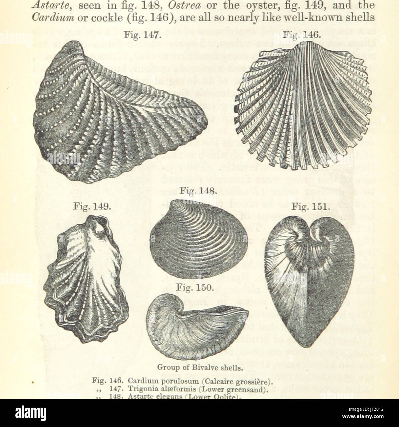 [An Elementary Course of Geology, Mineralogy, and Physical Geography ...