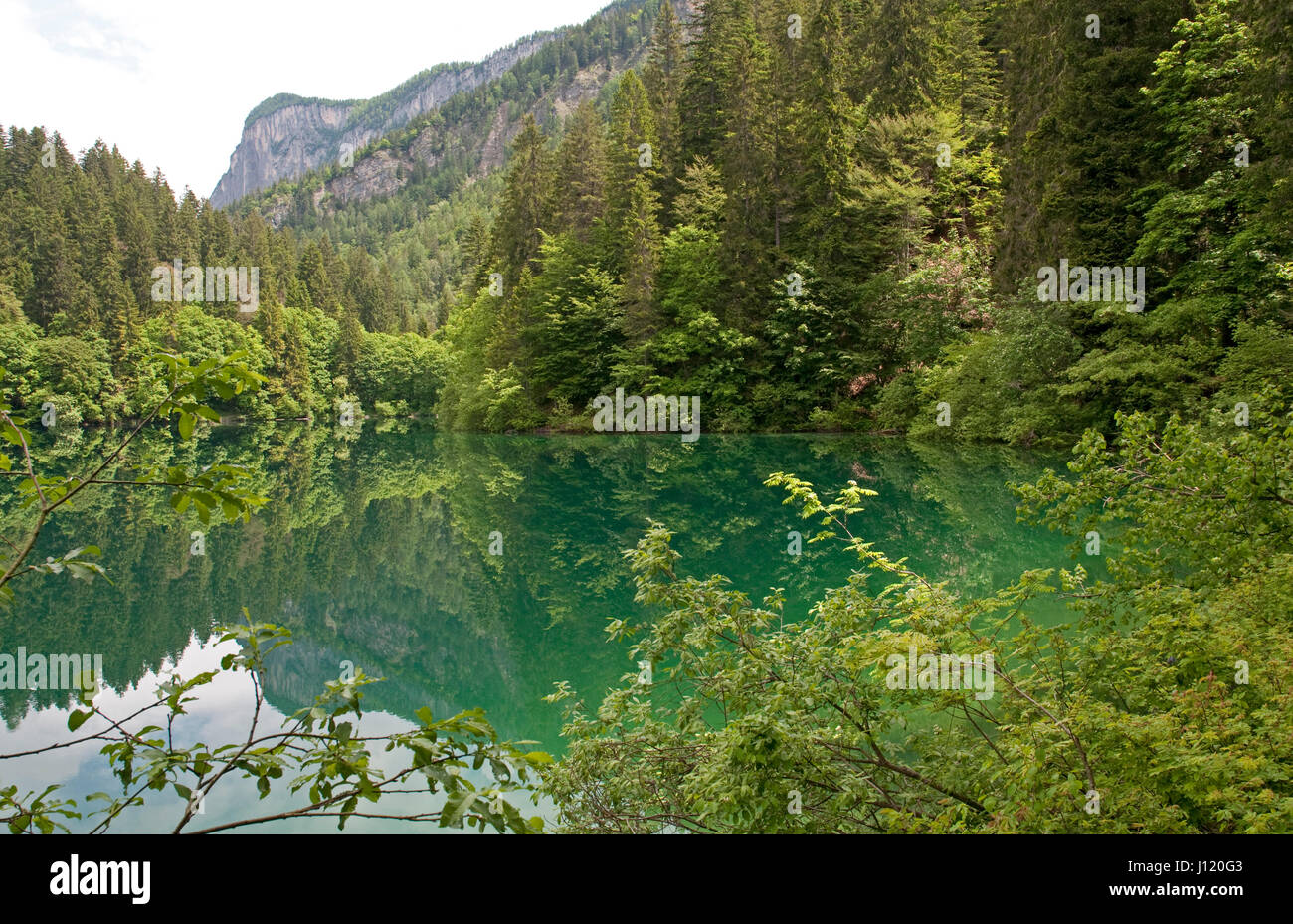 Lago di tovel hi-res stock photography and images - Alamy