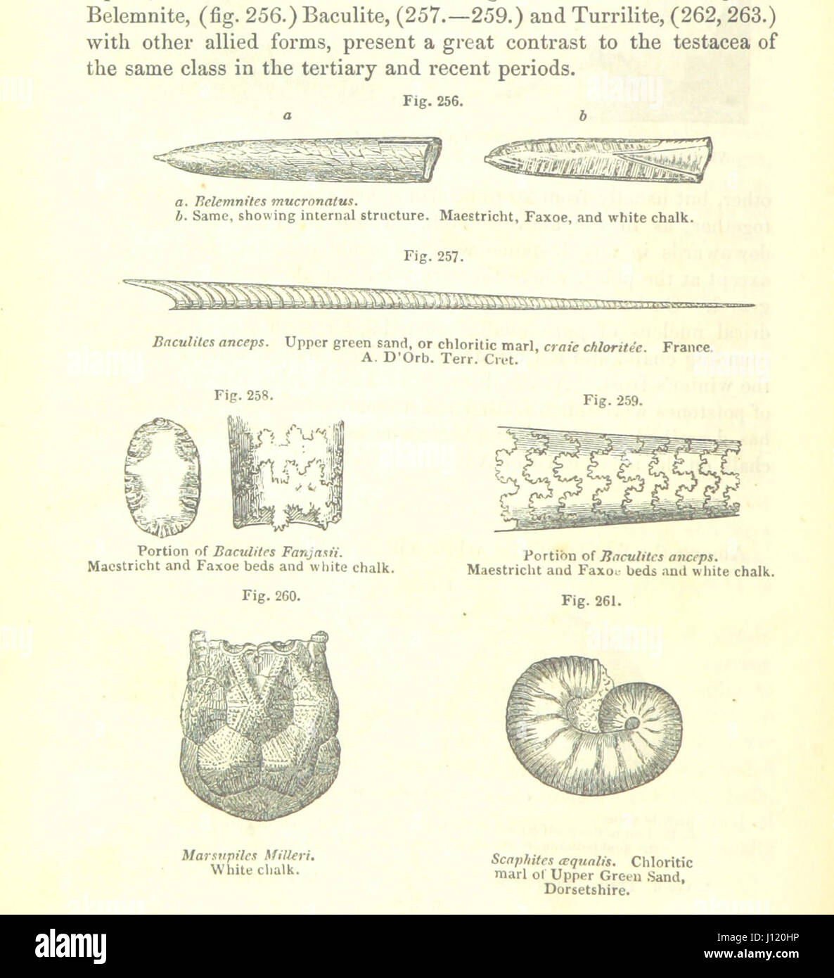 [A Manual of Elementary Geology. ... Third and entirely revised edition ...