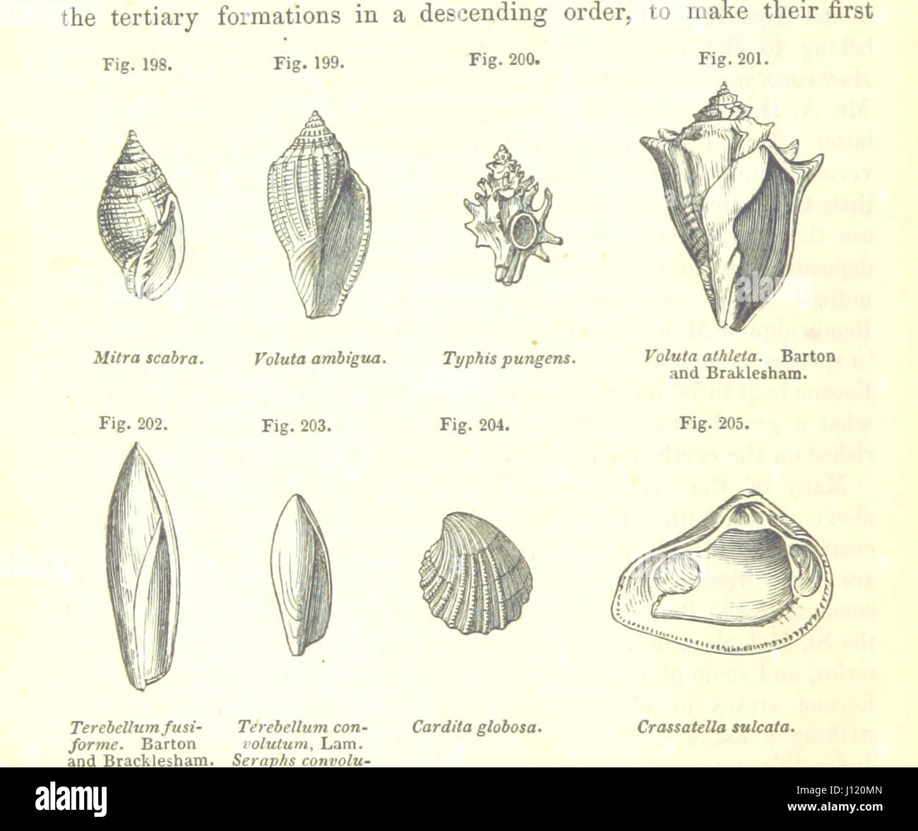 [A Manual of Elementary Geology. ... Third and entirely revised edition ...