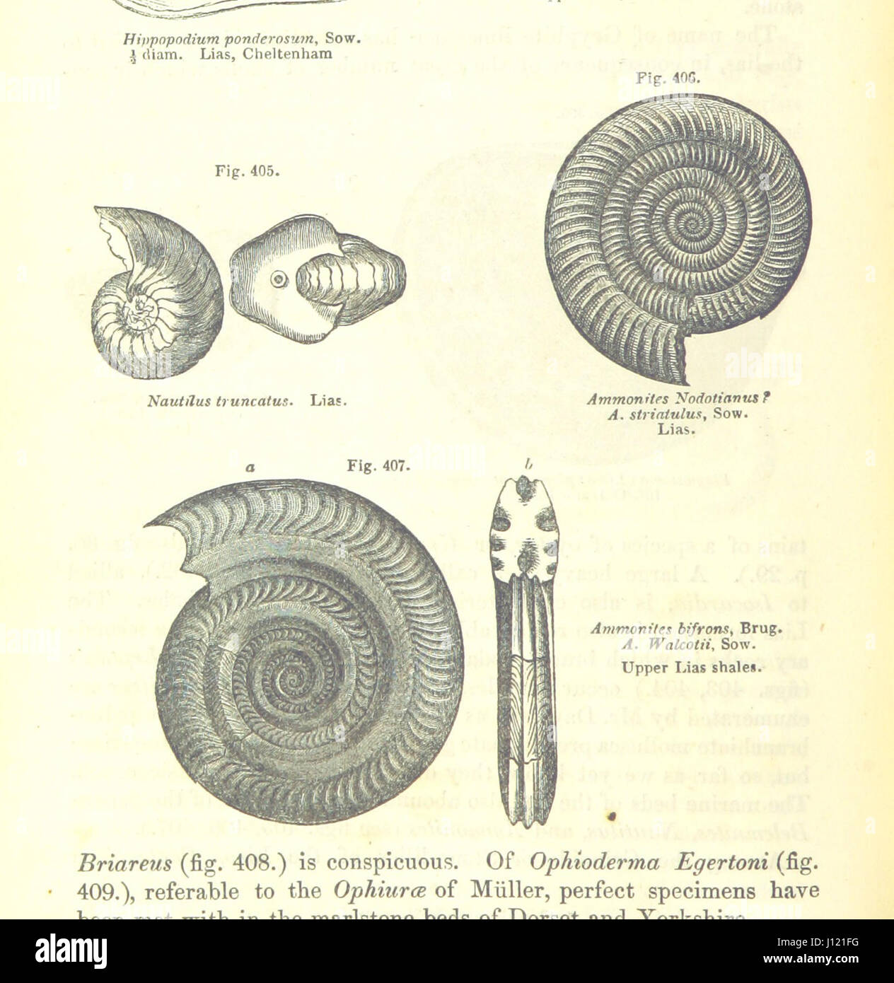 [A Manual of Elementary Geology. ... Third and entirely revised edition ...