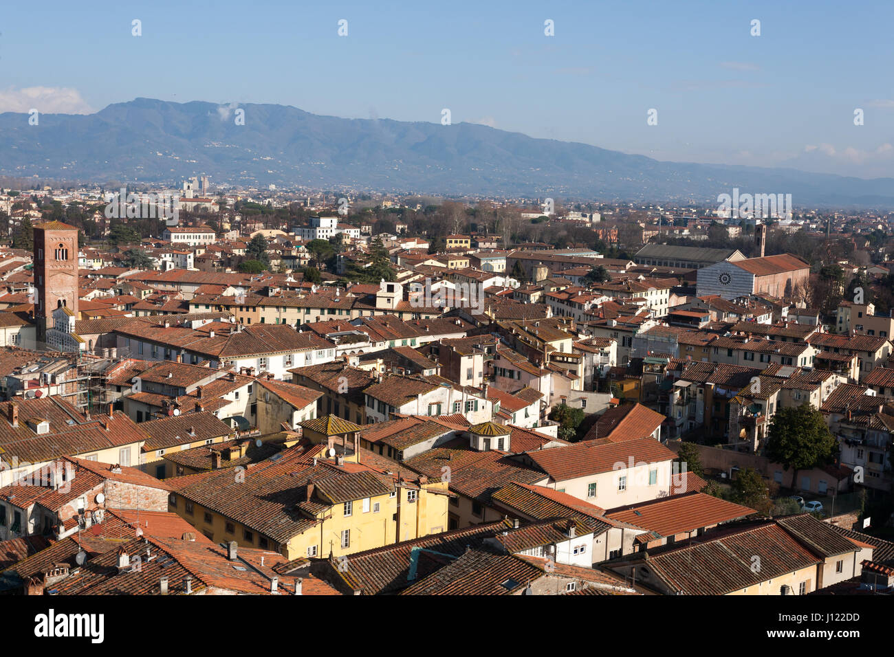 Lucca from Guinigi Tower. Italian landmark. Aerial view of Lucca Stock ...