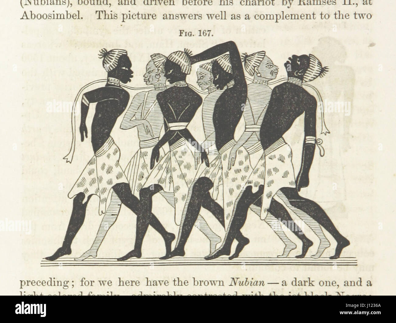 Nott gliddon hi-res stock photography and images - Alamy