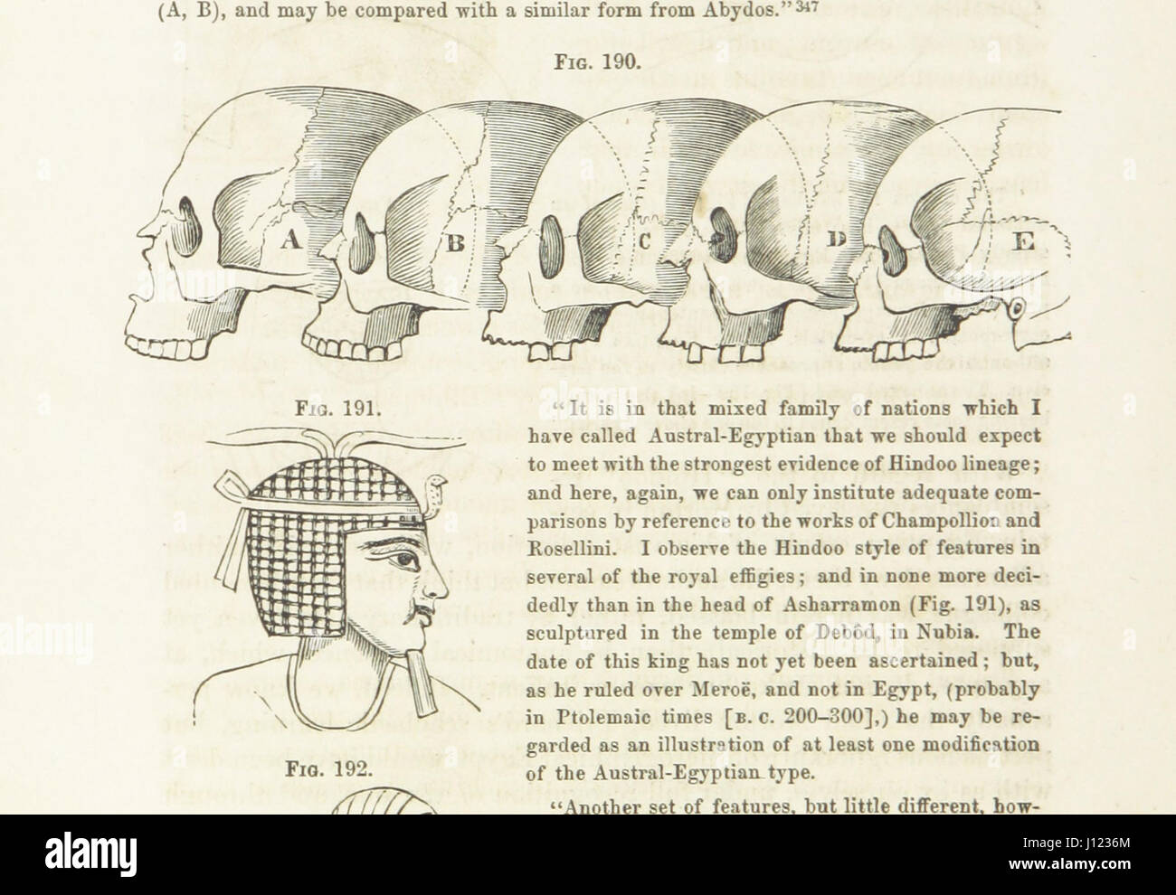 Types of Mankind: or Ethnological Researches ... illustrated by ...