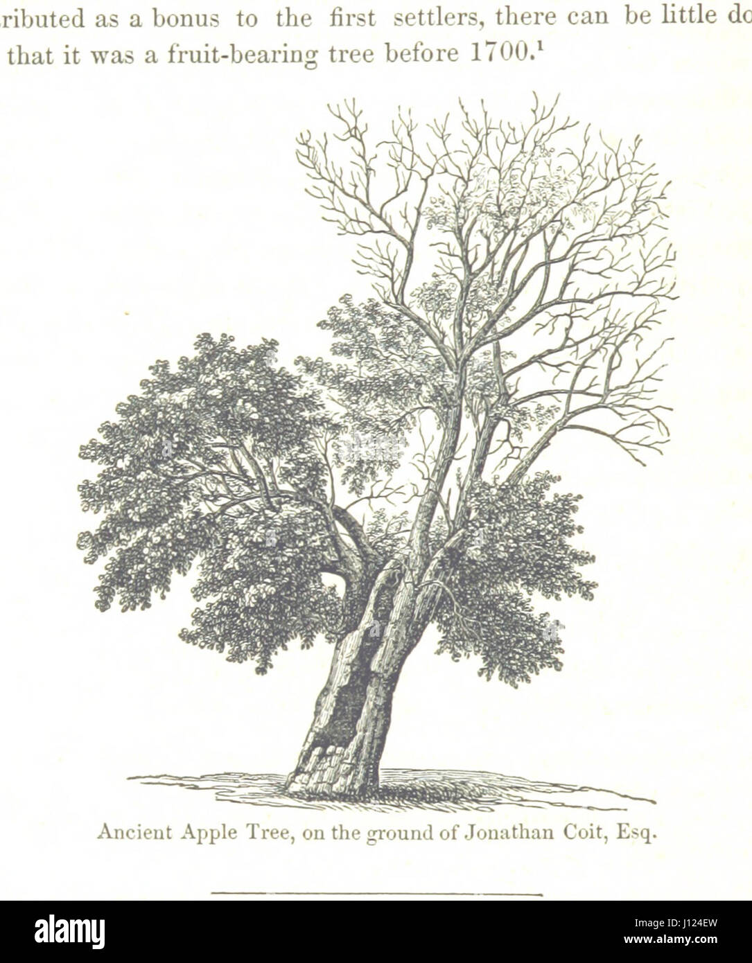 History of New London, Connecticut, from the first survey of the coast ...