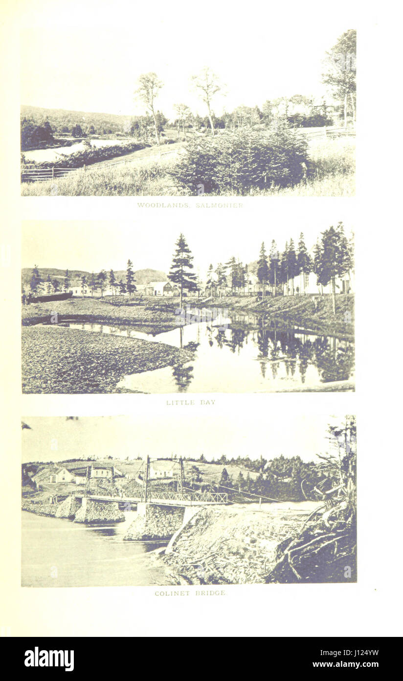 A History of Newfoundland from the English, Colonial and foreign ...
