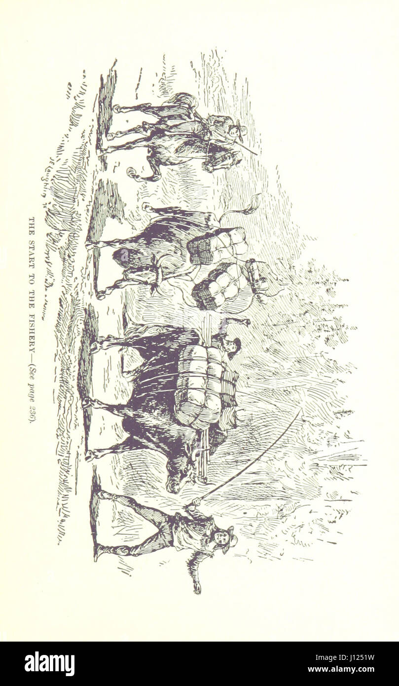 Forest, Lake, and Prairie. Twenty years of frontier life in Western ...