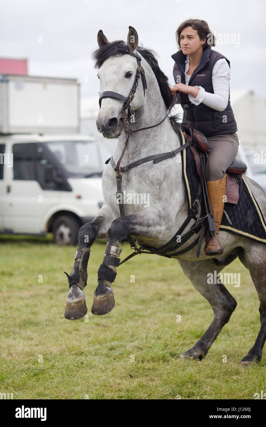 The Devils horsemen stunt team display Stock Photo - Alamy