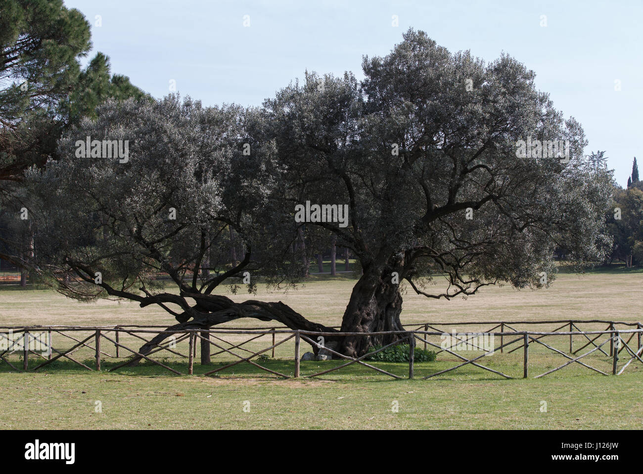 1600 years hi-res stock photography and images - Alamy