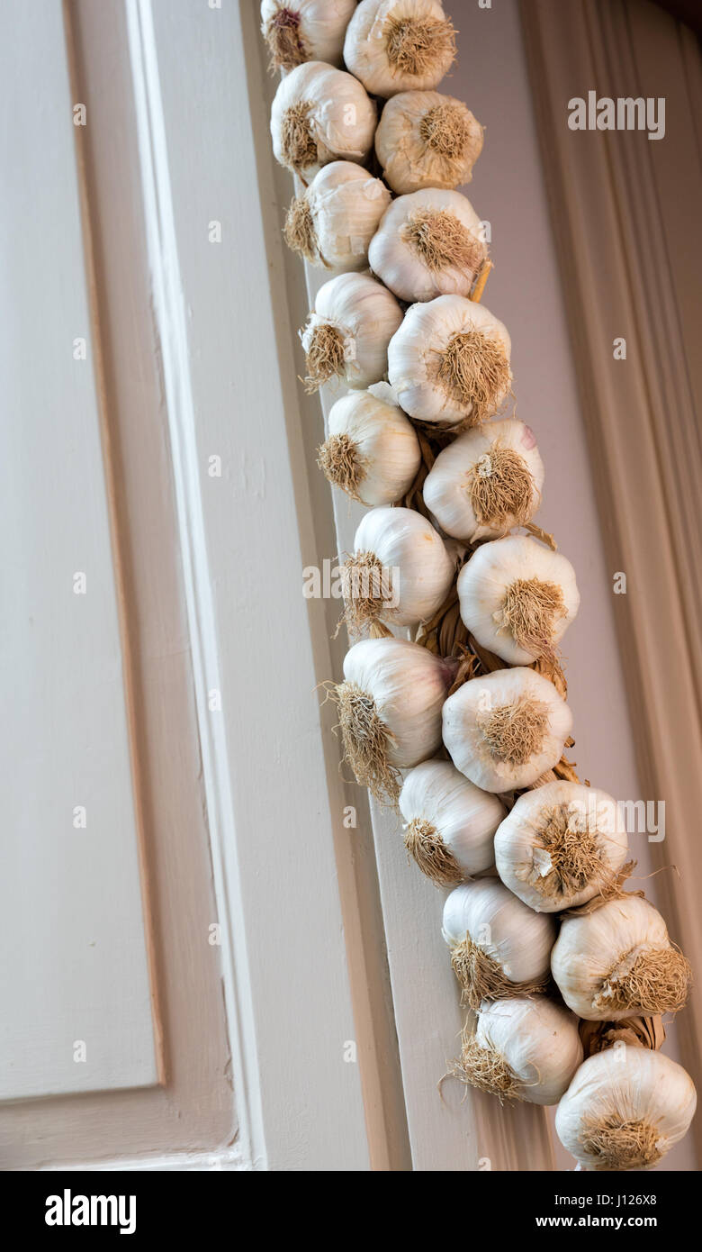 Neapolitan garlic braid leaning against the wall Stock Photo - Alamy