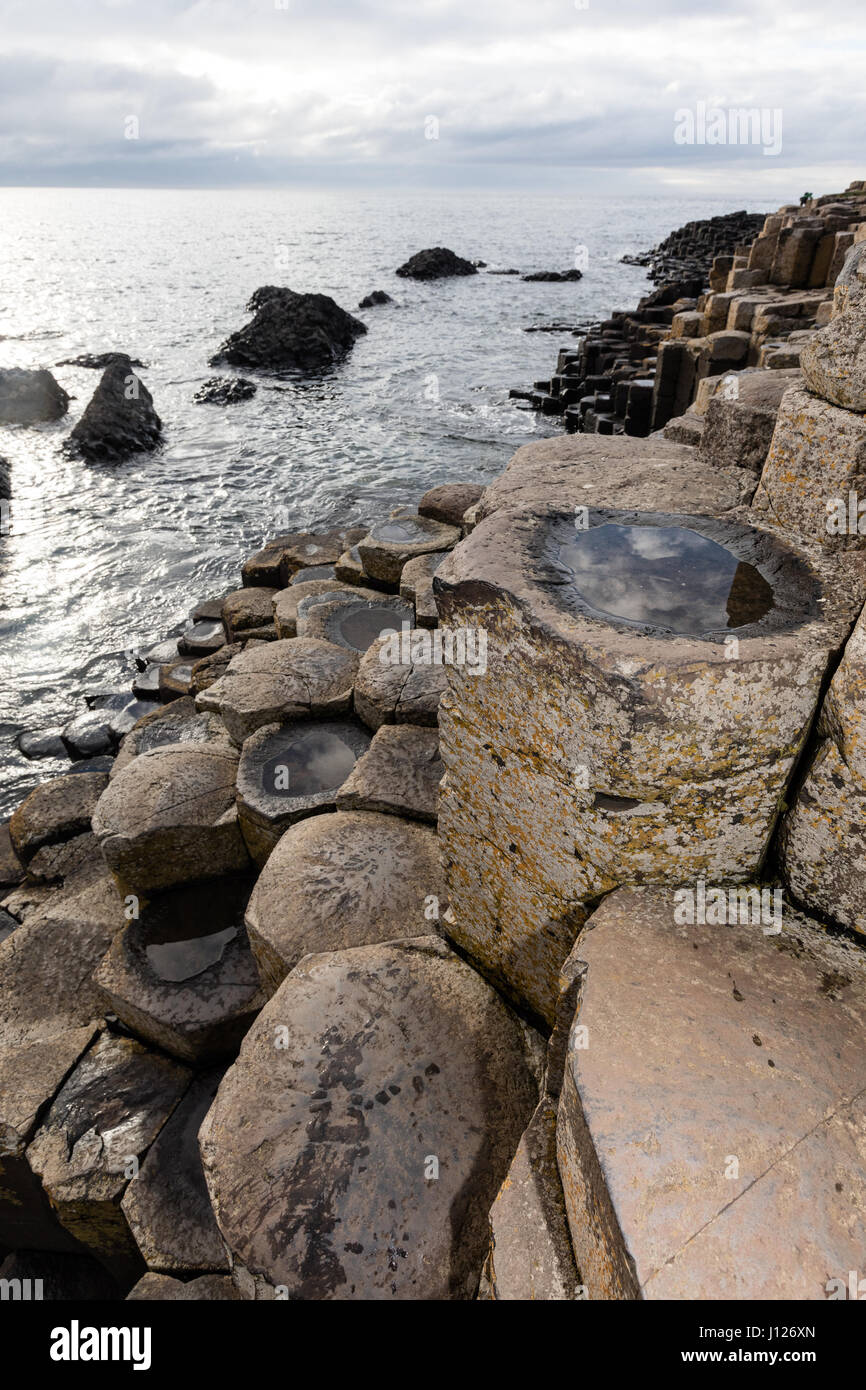 The Giant's Causeway is an area of about 40,000 interlocking basalt ...