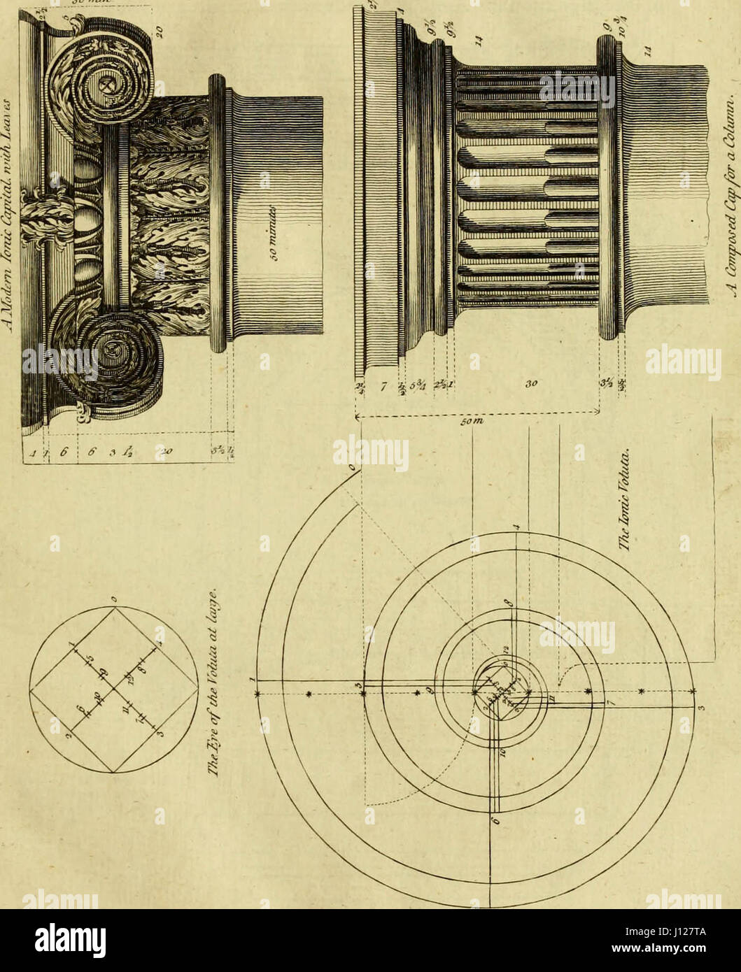 "Practical builder, or, Workman's general assistant, shewing the most ...