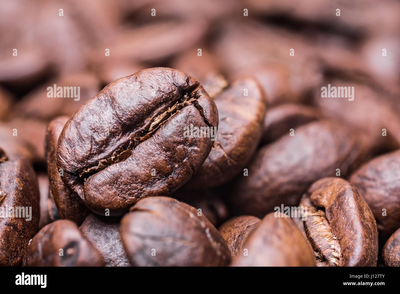 Robusta bean hi-res stock photography and images - Alamy