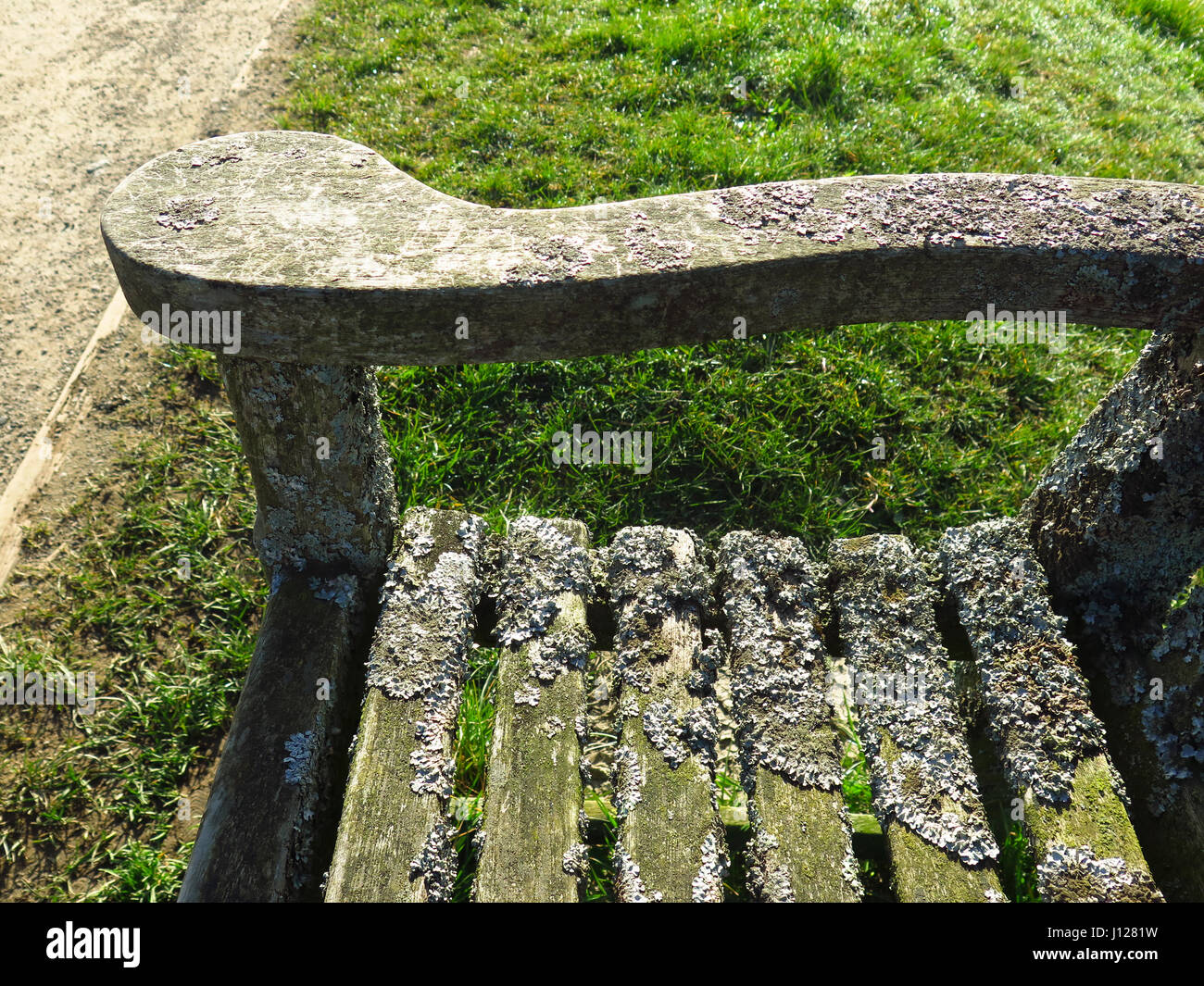 Lichen on wooden park bench Stock Photo - Alamy