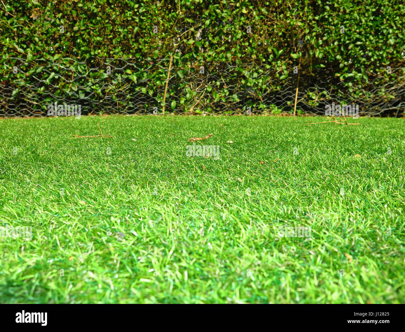 Artificial grass close up Stock Photo - Alamy