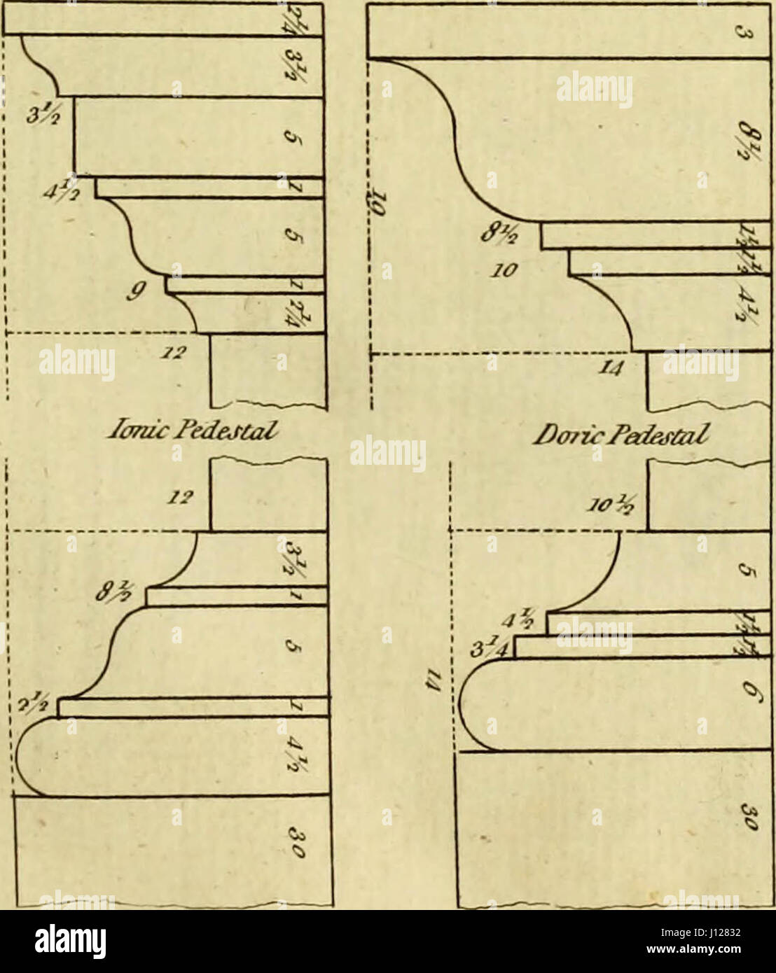 "Practical builder, or, Workman's general assistant, shewing the most ...
