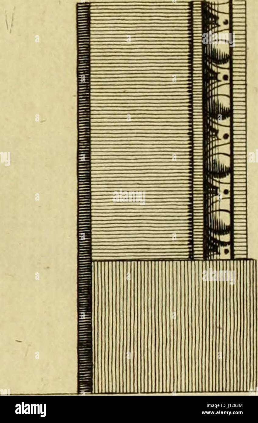 Shewing the most approved and easy methods for drawing hi-res stock ...