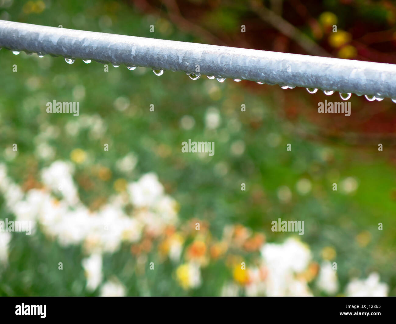 Raindrops on fence rail Stock Photo - Alamy