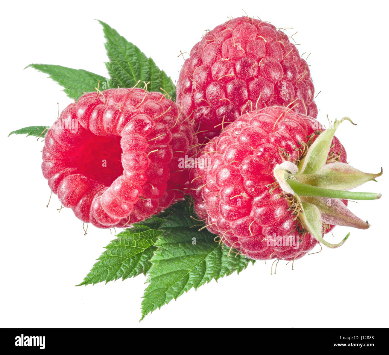 Three raspberries with leaves on the white background Stock Photo - Alamy