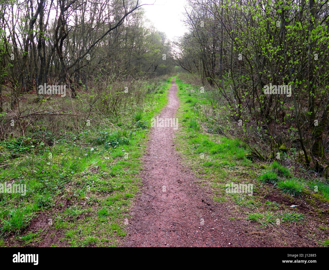 Country path walkway hi-res stock photography and images - Alamy