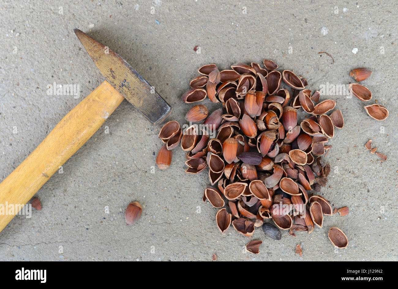 hammer and nut shells crushed hazelnuts food background Stock Photo - Alamy