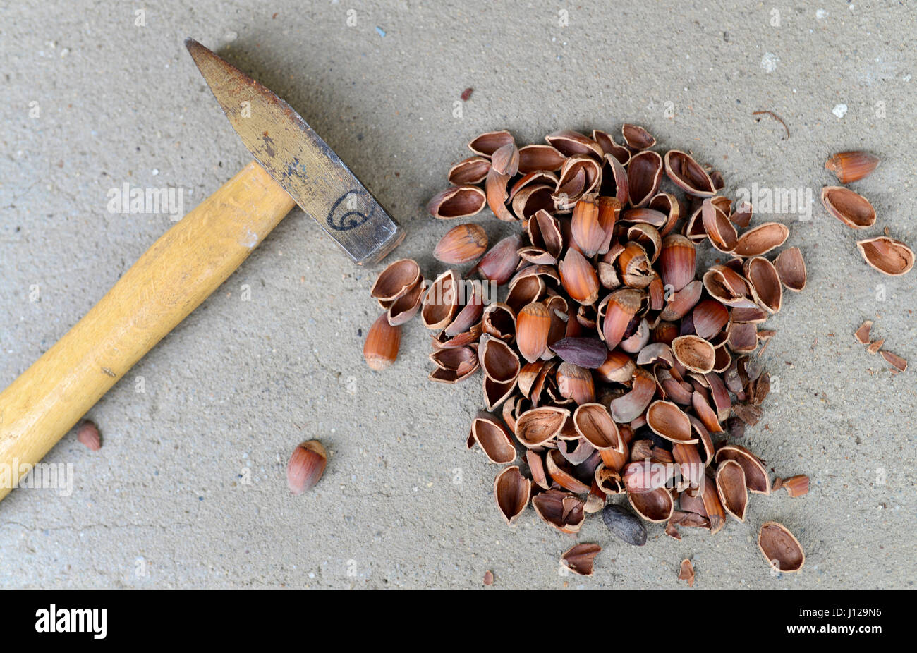 hammer and nut shells crushed hazelnuts food background Stock Photo - Alamy