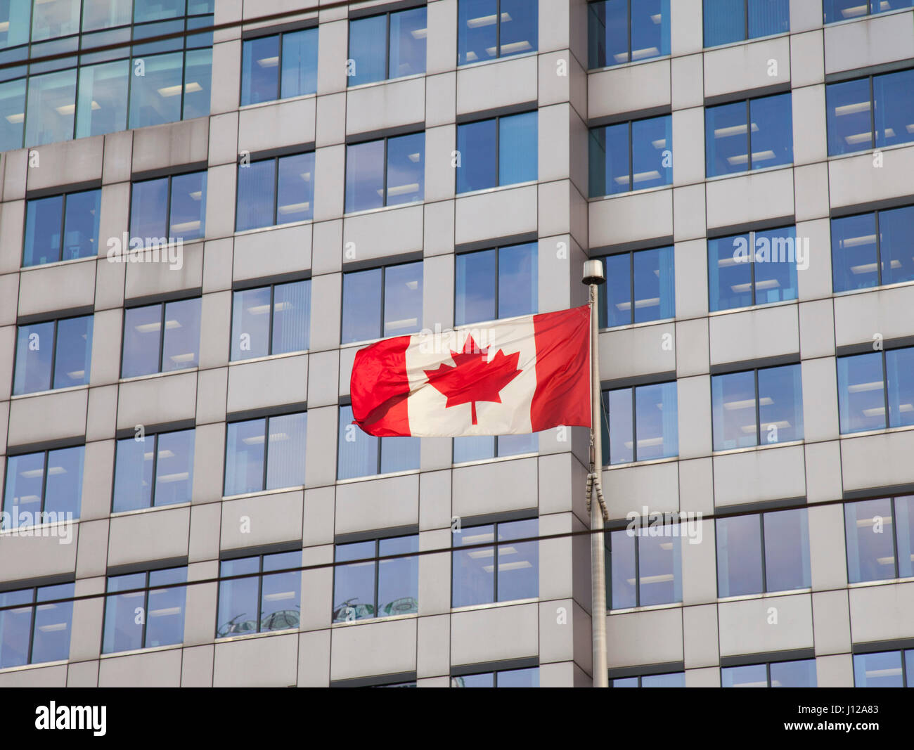 Canadian flag downtown Toronto, Canadan Stock Photo - Alamy