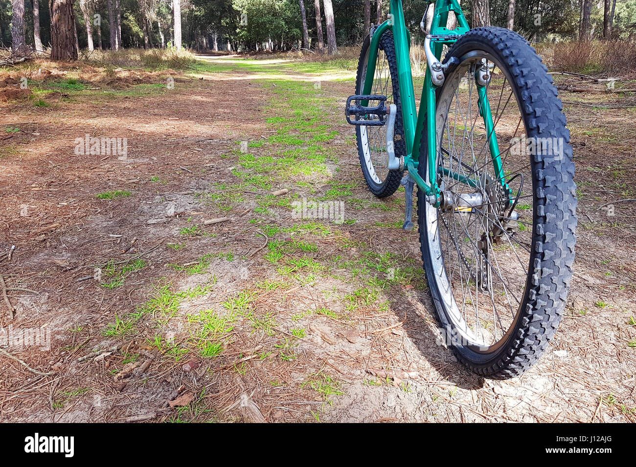 a beautiful and healthy bike ride in the park, fresh air, silence ...