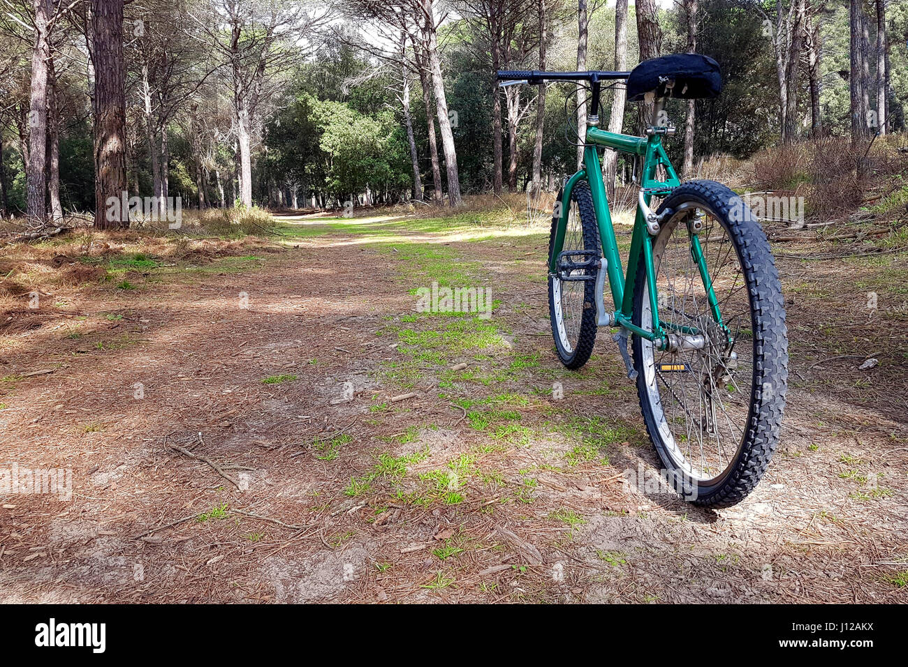 a beautiful and healthy bike ride in the park, fresh air, silence ...