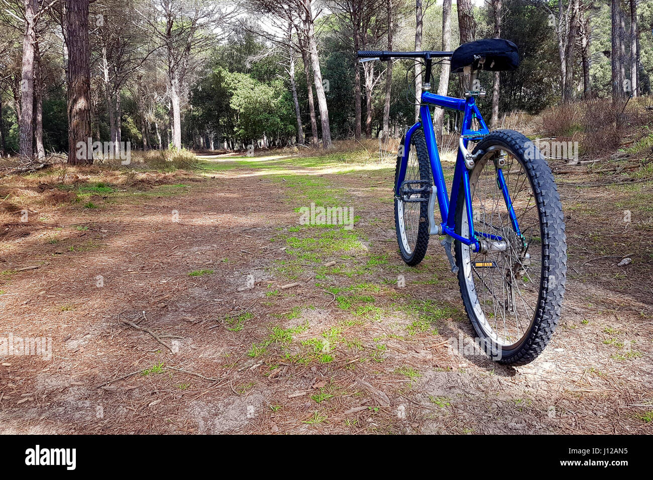 a beautiful and healthy bike ride in the park, fresh air, silence ...