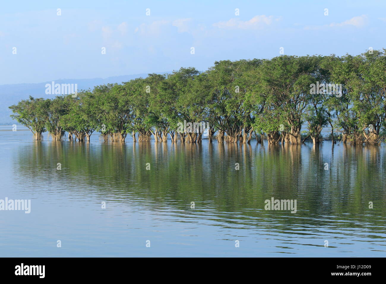 Tanguar haor hi-res stock photography and images - Alamy