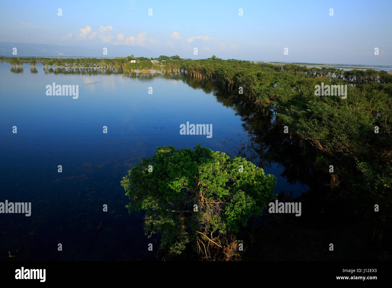 Beautiful tanguar haor hi-res stock photography and images - Alamy