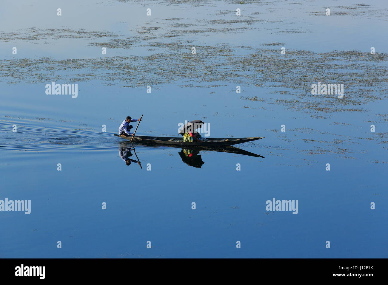 Tanguar haor, located in the Dharmapasha and Tahirpur upazilas of ...